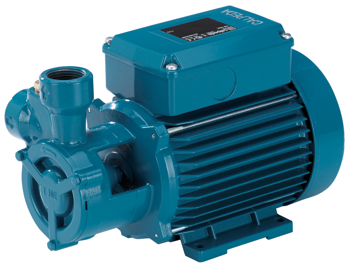 Pompe de surface Calpeda TM-76E (TM-76E) - Motralec