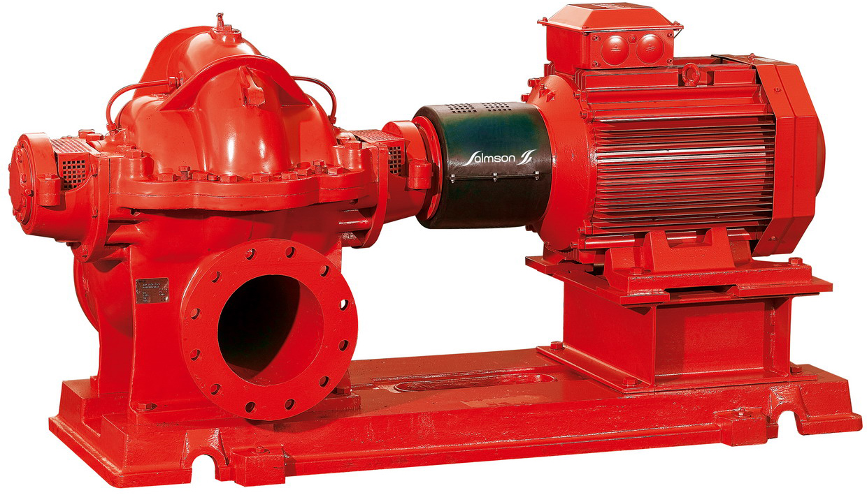 Pompe à plan de joint Salmson ASP 50BT 5,5 KW( ASP 50BT 5,5 KW)